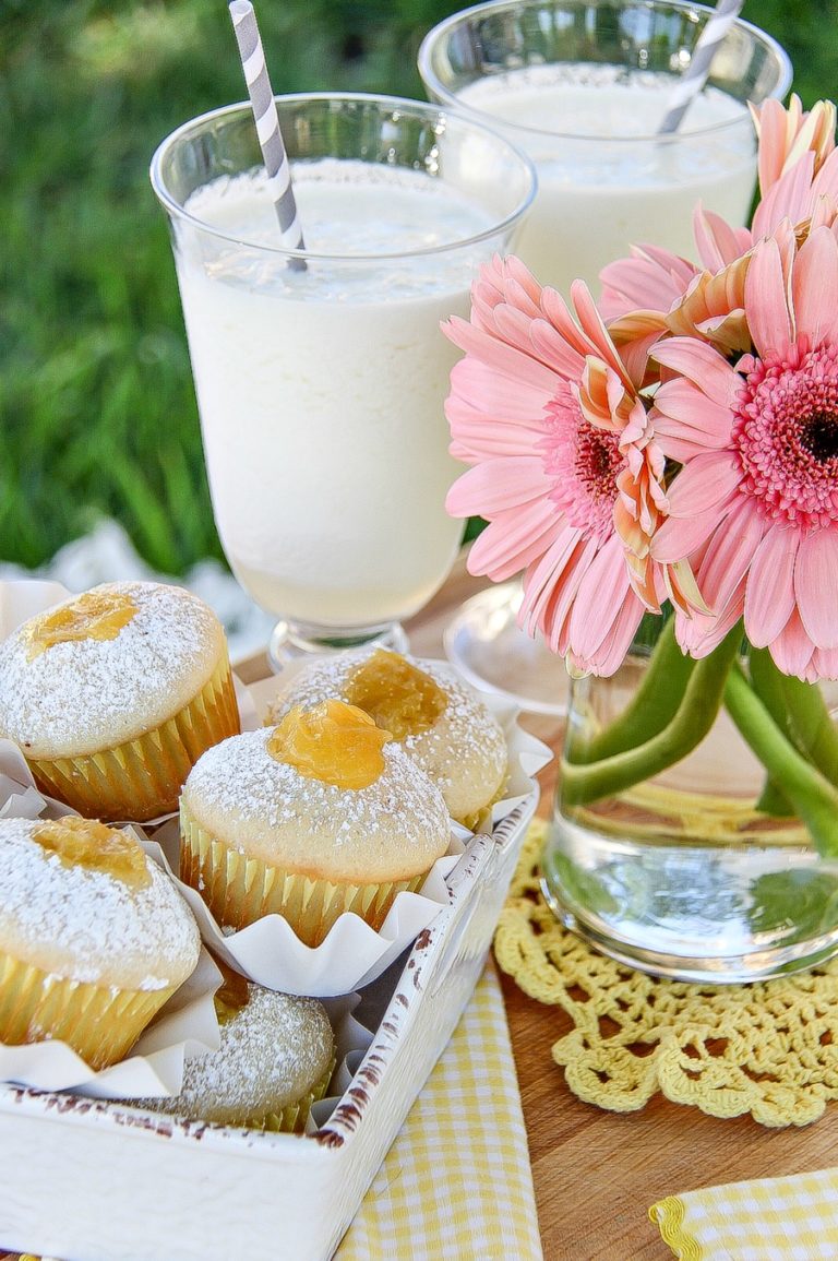 Lemonade Shake And Lemonade Muffins Recipes | Tonya Staab