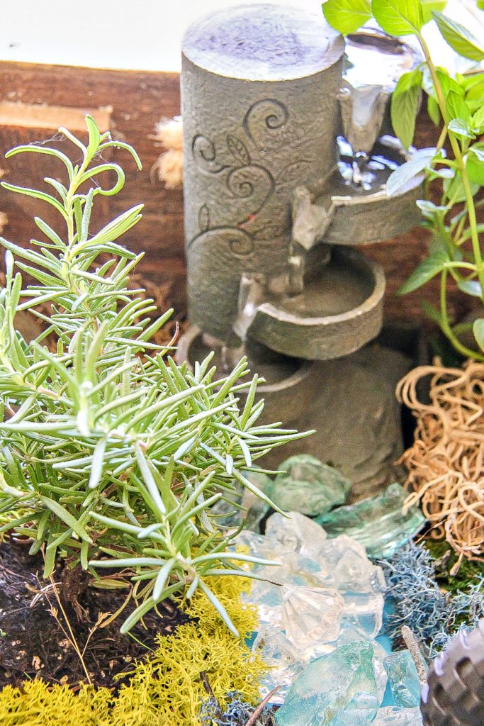 How To Make A Fairy Garden in a Box | Tonya Staab