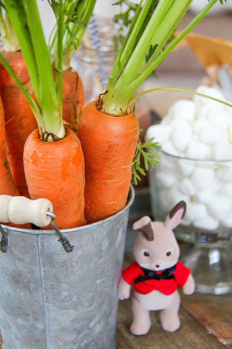 Peter Rabbit Party and Movie Night Ideas for Kids | Tonya Staab