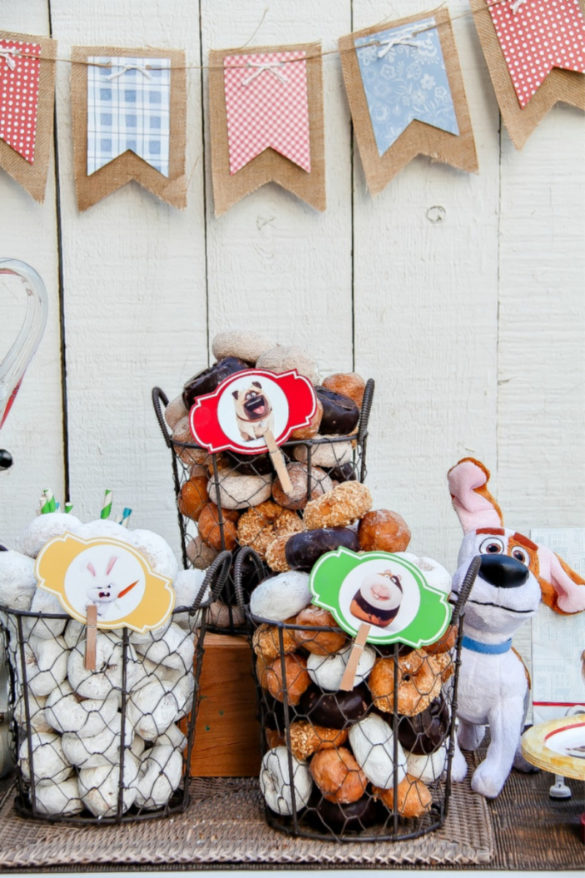 The Secret Life Of Pets Movie Night At Home | Tonya Staab