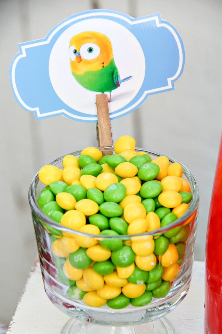 The Secret Life Of Pets Movie Night At Home | Tonya Staab