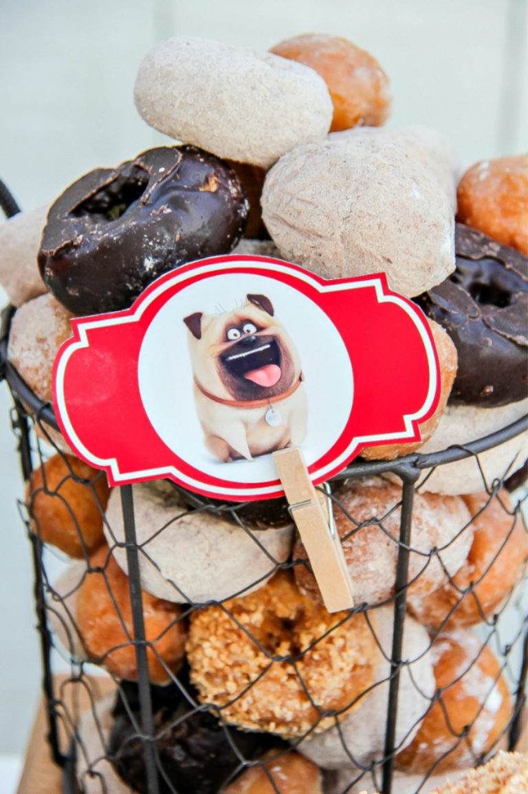 The Secret Life Of Pets Movie Night At Home | Tonya Staab