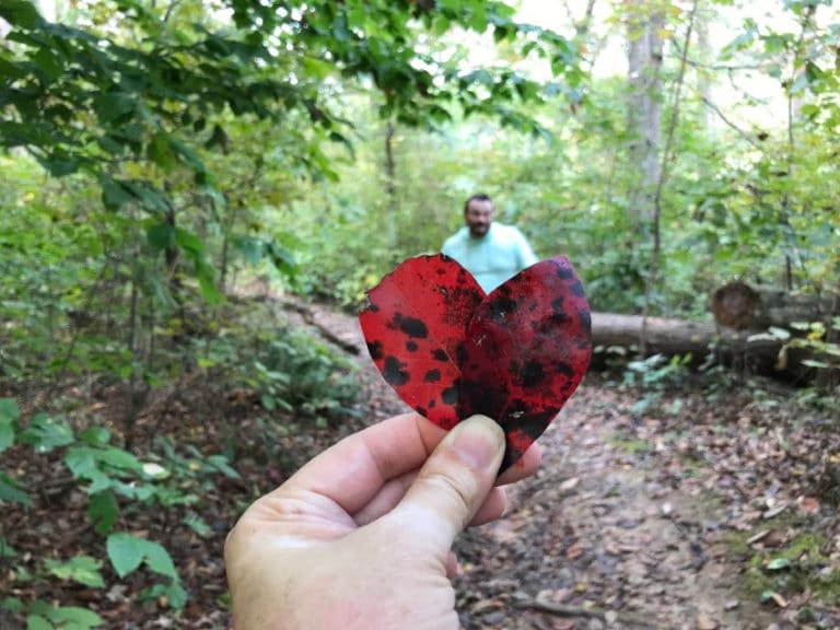 6 Outdoor Valentine's Day Date Ideas | Tonya Staab