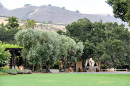 Holman Ranch in Carmel Valley, California | Tonya Staab