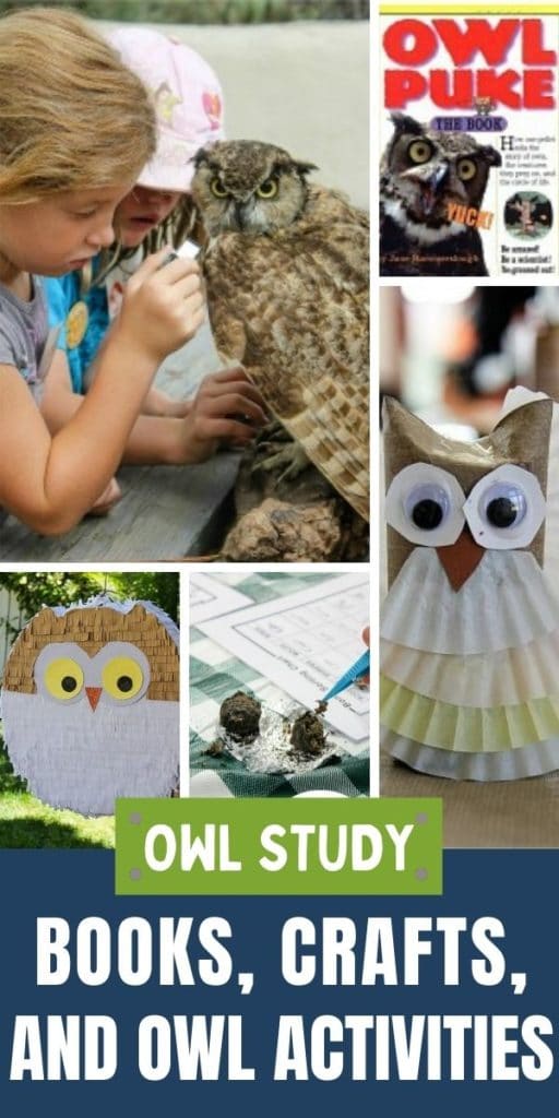 Teach Kids All About Owls With An Owl Study Unit | Tonya Staab