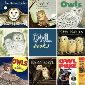 Teach Kids All About Owls With An Owl Study Unit | Tonya Staab