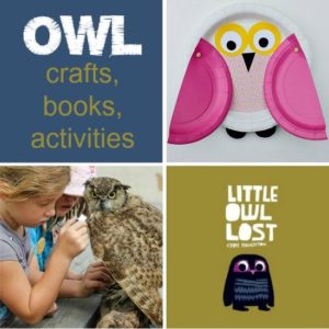 Teach Kids All About Owls With An Owl Study Unit | Tonya Staab