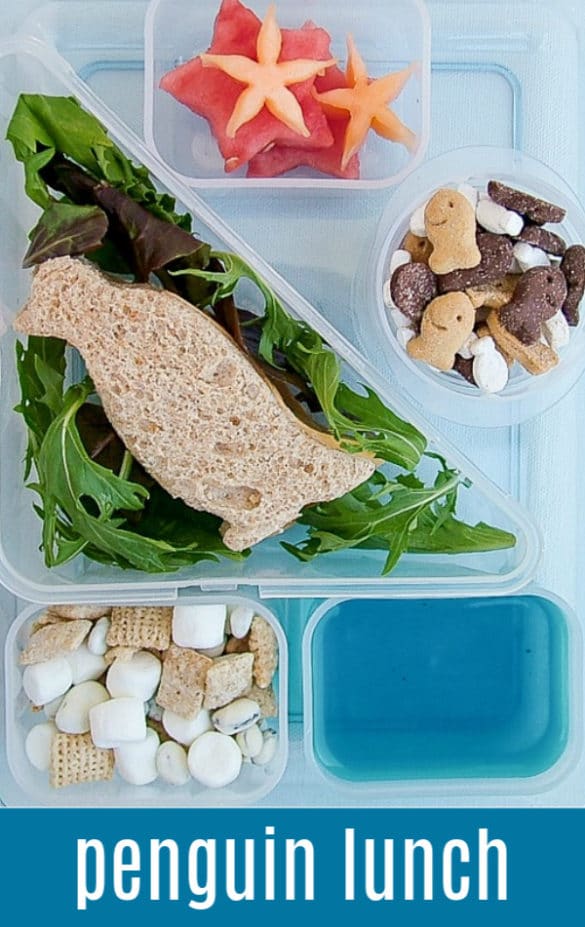 Make This Fun Penguin Lunch Box for Kids | Tonya Staab