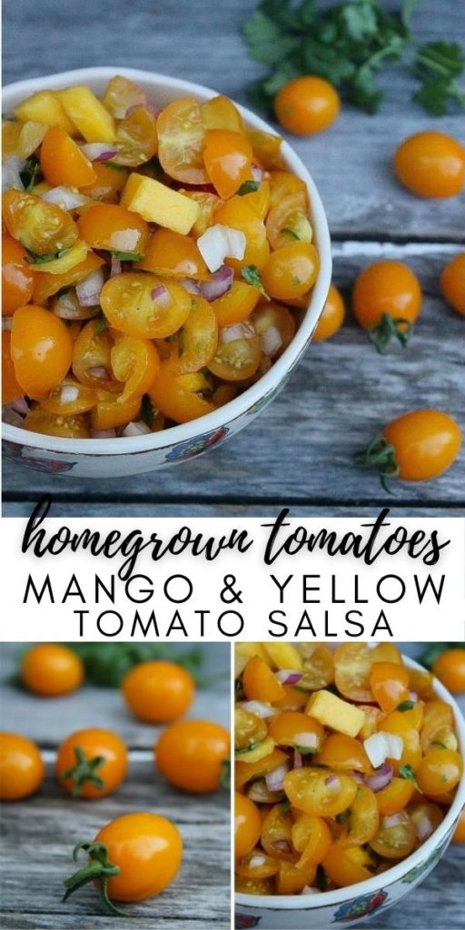 Homemade Mango and Yellow Tomato Salsa Recipe | Tonya Staab