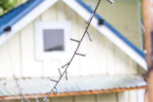 DIY Duck and Chicken Run Ideas and Accessories | Tonya Staab