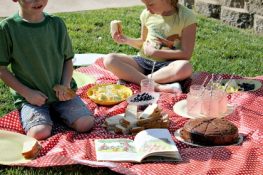 Mickey Mouse's Storytime and Backyard Picnic | Tonya Staab